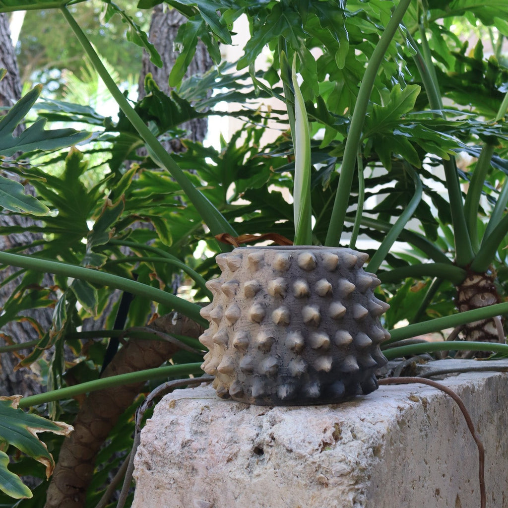 Studio CM | Modern Home Decor From Latin American Artisans